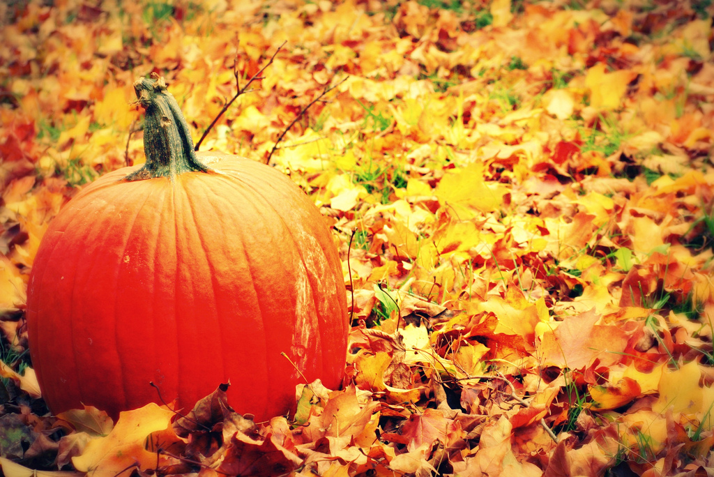 October 2019 Forecast - Melanie Joy